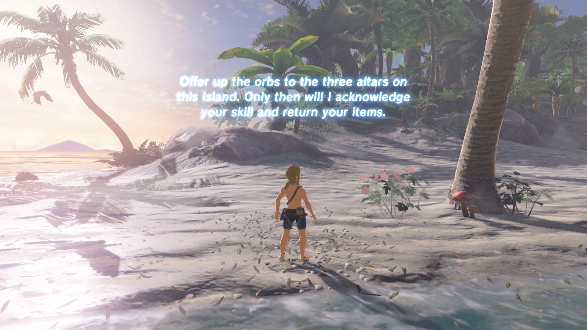 New Glitch Lets You Dupe Spirit Orbs, Korok Seeds and MORE in the ...